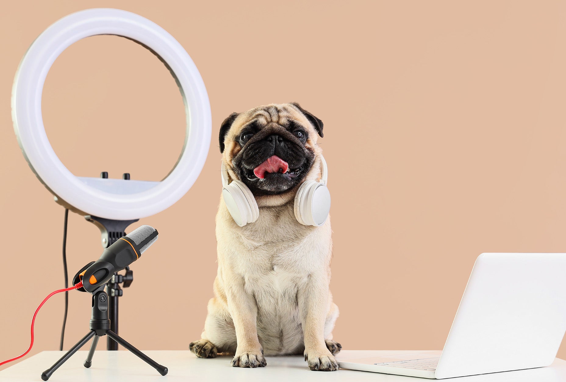 Lessons From Viral Content What Works And Why Kontent Ai